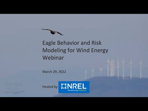 Near-Turbine Eagle Tracking