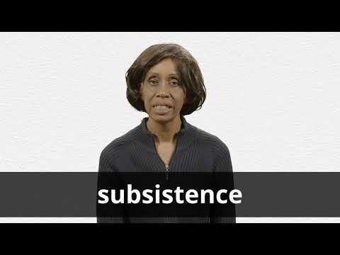 SUBSISTENCE definition and meaning | Collins English Dictionary