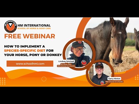 How to implement a SPECIES-SPECIFIC DIET for your horse, pony or donkey