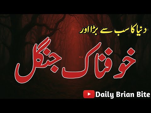 "This forest is another name for death!" / "یہ جنگل موت کا دوسرا نام ہے / #motivation
