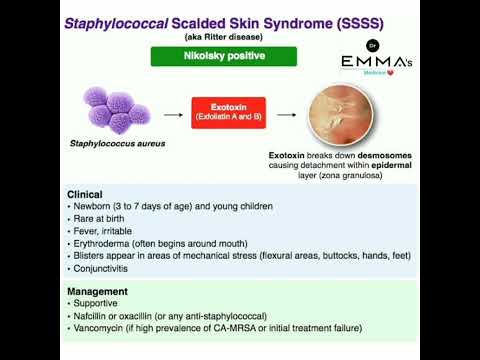 💠Staphylococcal scalded skin syndrome ( SSSS ) ðŸ’