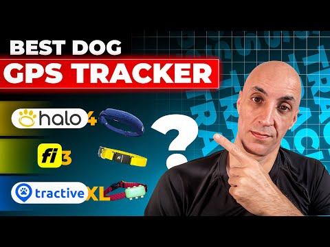 Best Dog GPS Tracker 2025: TOP 3 Devices Compared!