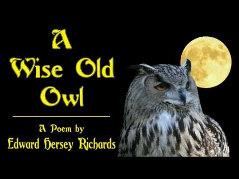 "A Wise Old Owl" by Edward Hersey Richards