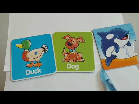 Letter D and words that start with it