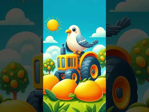 Story of A Farmer and A Pigeon|