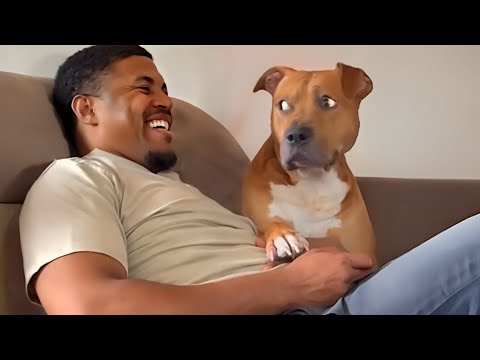 Dog Really Knows What You Mean 🤪 Funny Dog Videos 2025