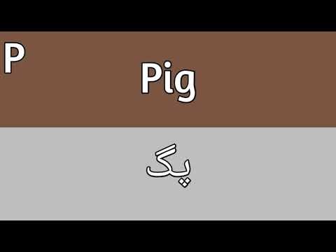 Pig Meaning In Urdu