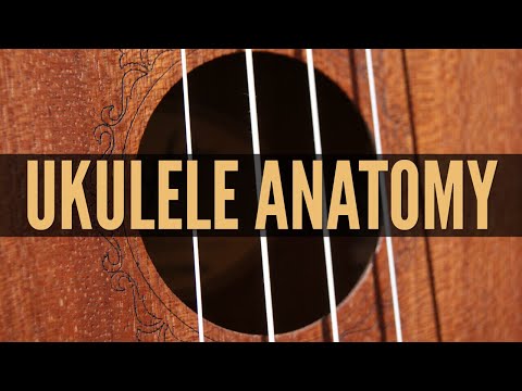 Ukulele Anatomy Lesson & Quiz | Ukulele Classroom