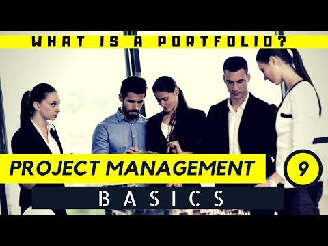 What is a Portfolio/Portfolio Management? PROJECT MANAGEMENT BASICS (PART 9 of 77)