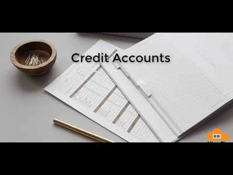 Credit Accounts & AR Statements in a POS System - MicroBiz Cloud