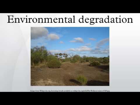 Environmental degradation