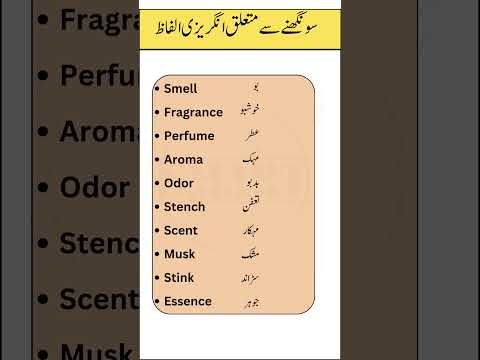 Smell-Related English Vocabulary with Urdu Translation | Learn Unique Words