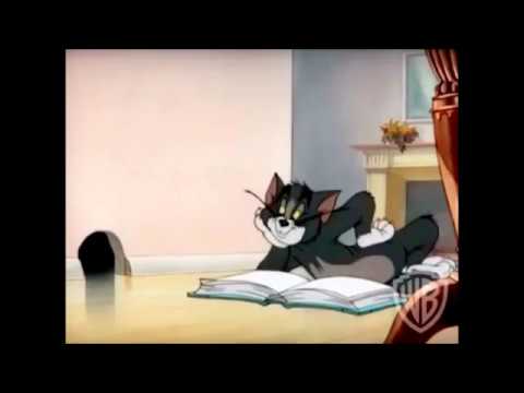 Me trying to study