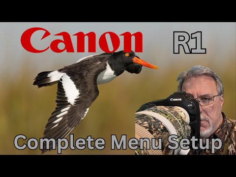 Canon R1: Full menu setup guide for wildlife photography