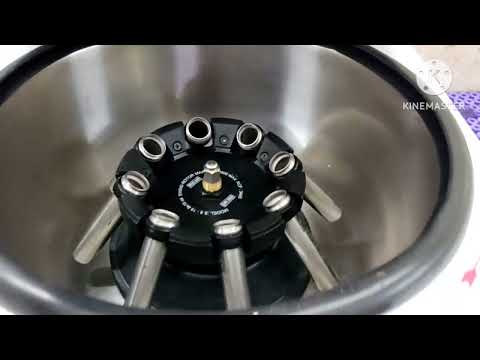 Remi Centrifuge Machine - Latest Price, Dealers & Retailers in India