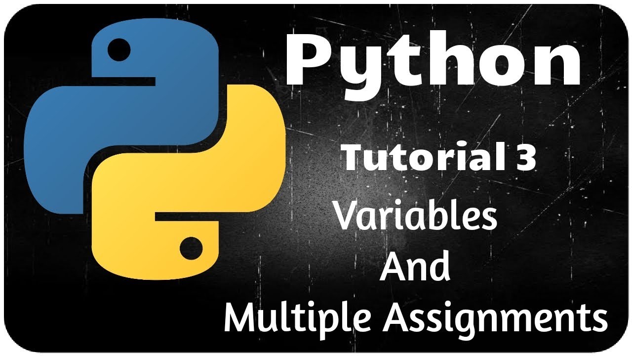 Python Programming Tutorial 3 - Variables and multiple assignments