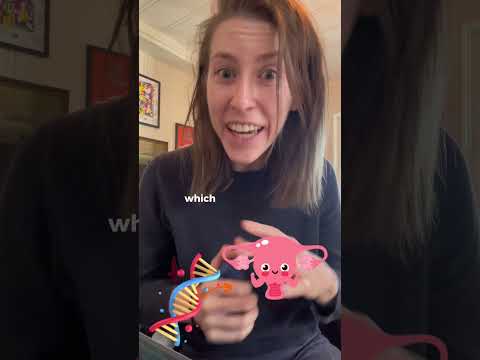 Identical twins explained by Eden Sher