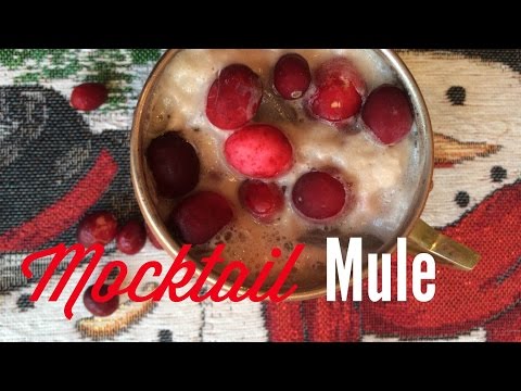 Mocktail Mule | Moscow Mule Recipe | Long Story Short