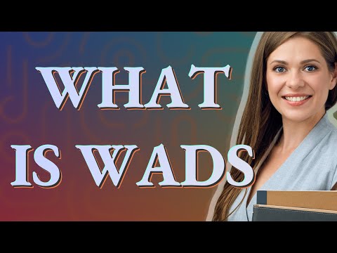 Wads | meaning of Wads