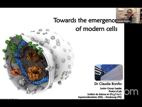 Protocells - Claudia Bonfio - Derek O'Flaherty - Irene Chen