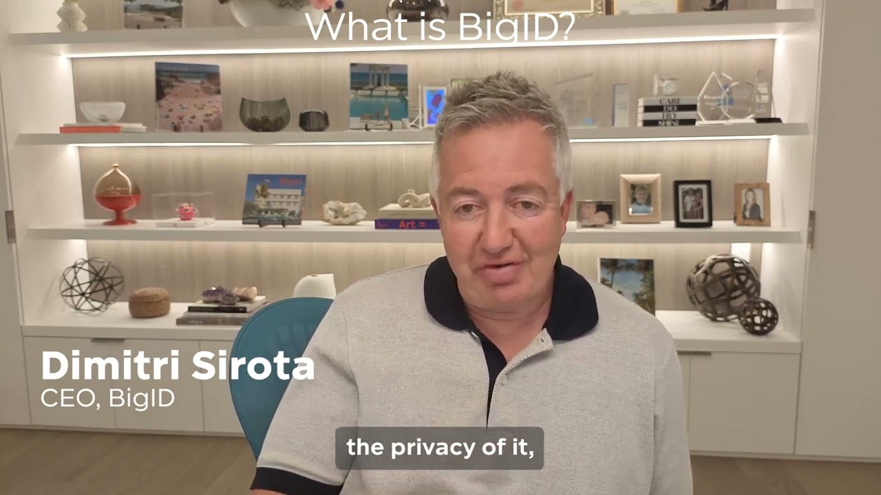 BigID Executive Overview