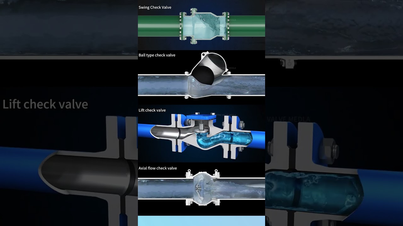 The working principle of the four commonly used check valves #valve