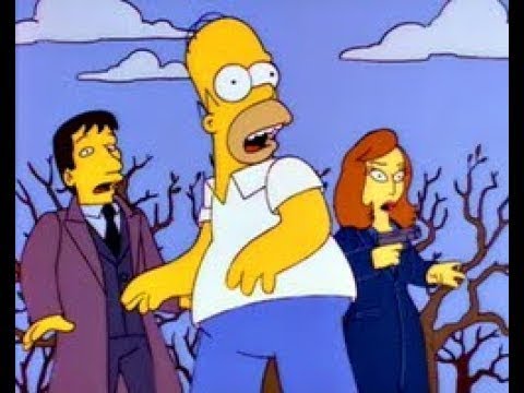 Simpsons Logical Fallacies: Non-Sequitur