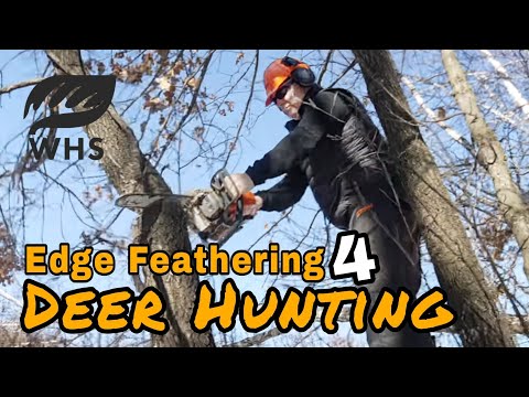 Edge Feathering For Deer Hunting