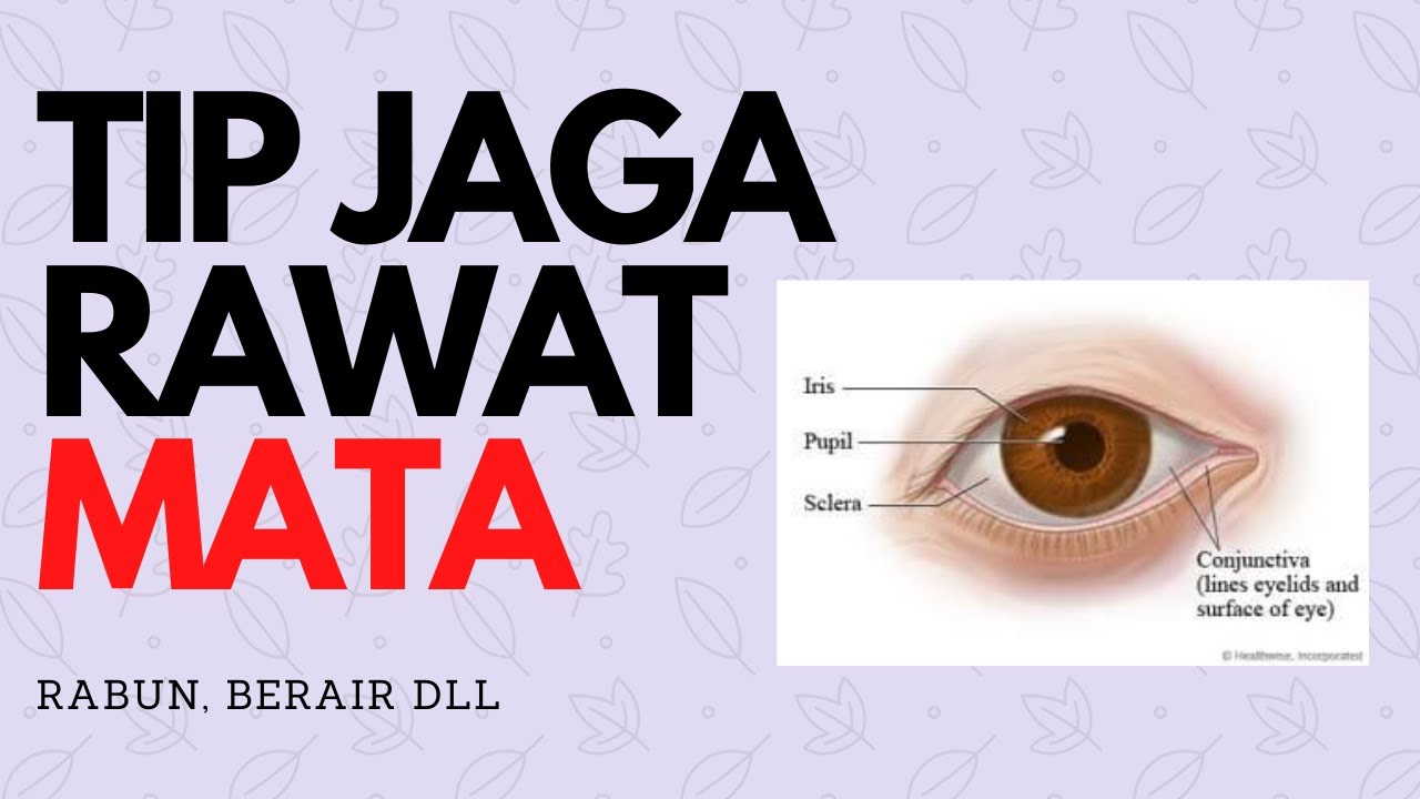 TIP JAGA MATA, CARA RAWAT MATA, UBAT MATA SECARA SEMULAJADI