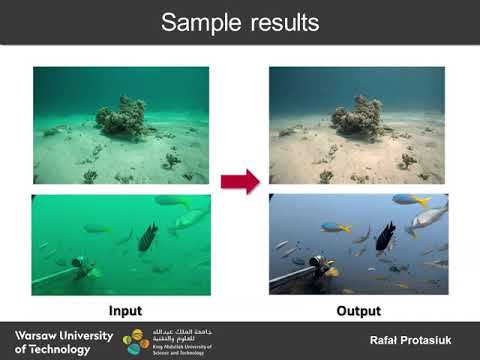 Local Color Mapping Combined with Color Transfer for Underwater Image Enhancement