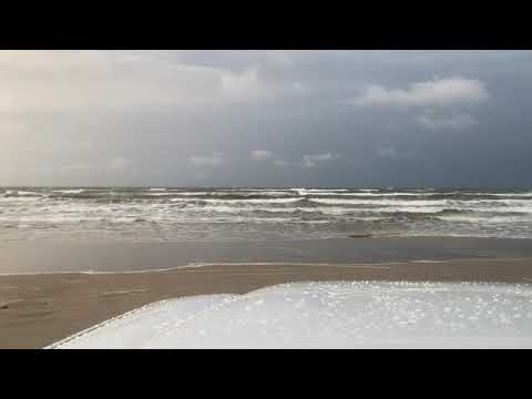 Beach report 062321 Wind SE15 Tides H4.53am L8.24pm