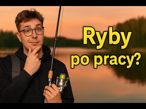Zestaw na ryby po pracy do 300 zł – co wybrać, żeby nie żałować?