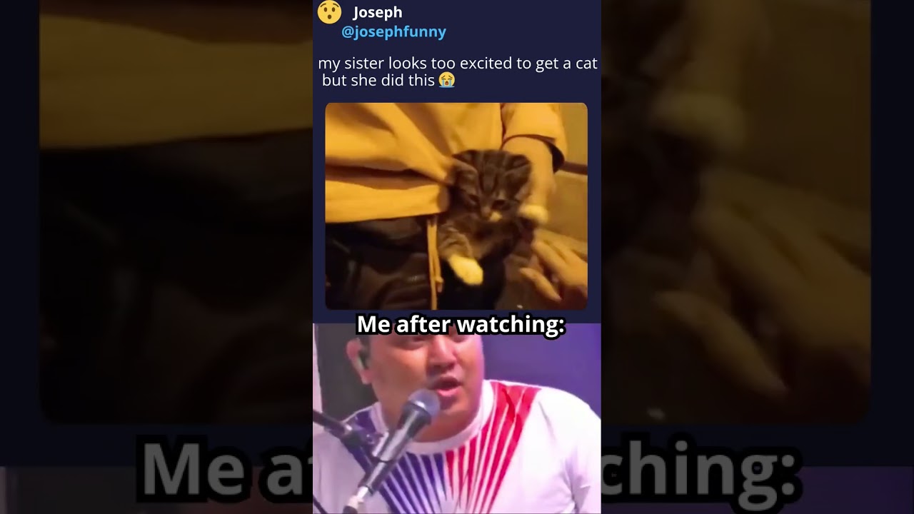 #eurovision