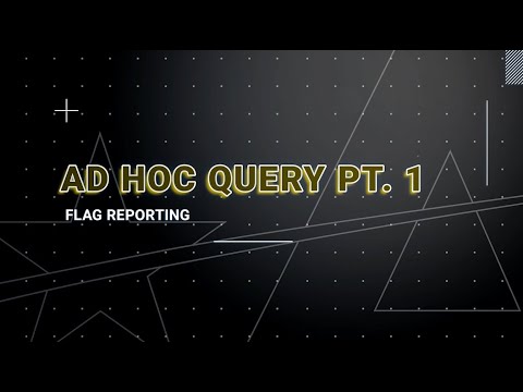 IPPS-A Release 3 Functionality Demo: Ad Hoc Query Part 1 - Flag Reporting