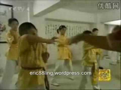 Wing Chun – CCTV Documentary. | Many trees - 1 Forest/ 天下武林是一家