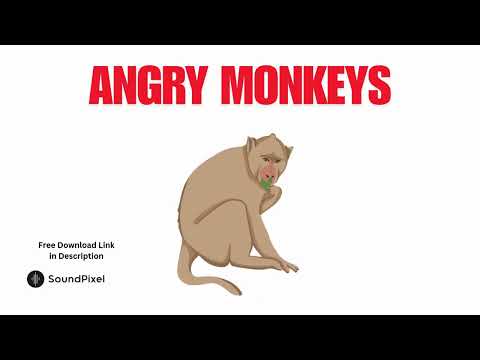 Angry Monkeys Sound Effect | Free Download Copyright Free