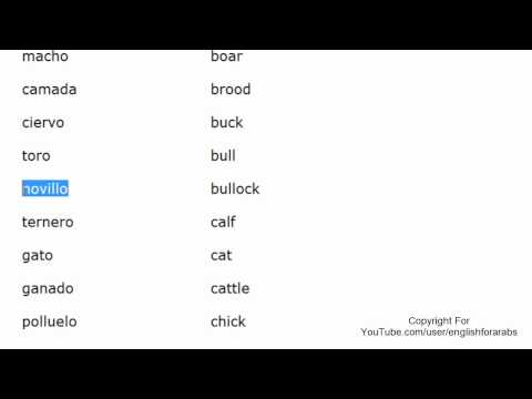 Animals names in Spanish part 1 Spanish For Beginners Video Lecture ...