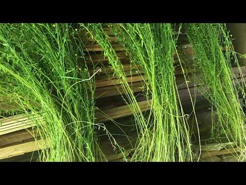 Celtic Influence on Fiber Arts in Appalachia 1800’s | Lifeflowers Farm