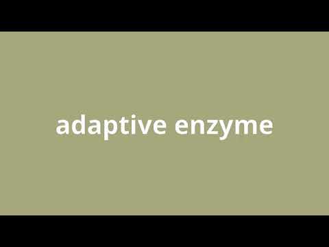 what is the meaning of adaptive enzyme