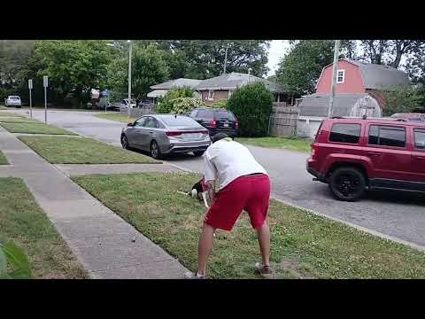 DOGG VS ME,Game 2...DOGG scores rushing TD #funny #sports#jesus#cbn#world #message#allpeople#reels