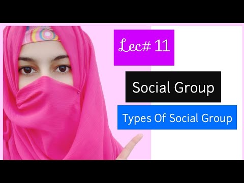 Social Group | Types of Social Group | Primary Group | Secondary group | In-group | Out-Group