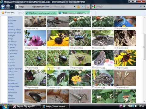 RepeatServer.Com - Downloading sample image files