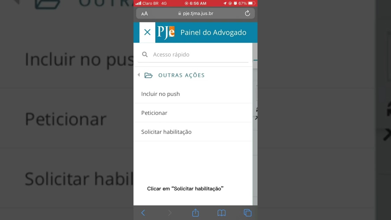 Habilitação PJE - HABILITAÇÃO AVULSO PJE - Peticionar PJE