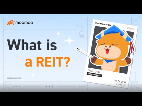 What is a REIT?