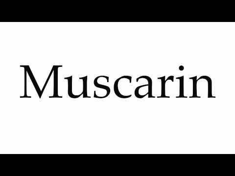 How to Pronounce Muscarin