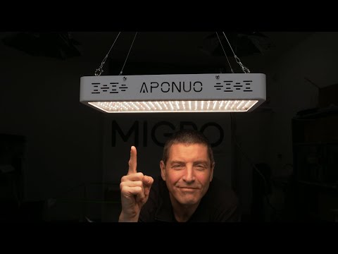 Aponuo LED grow light | A good budget light on Amazon only $90 for 200 watts
