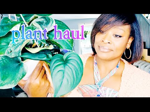 Plant Haul 🌿 #HomeDepot #barkandvine Chit Chat