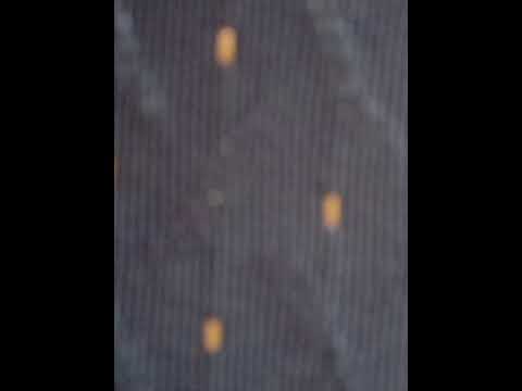 song1 (piano test song)