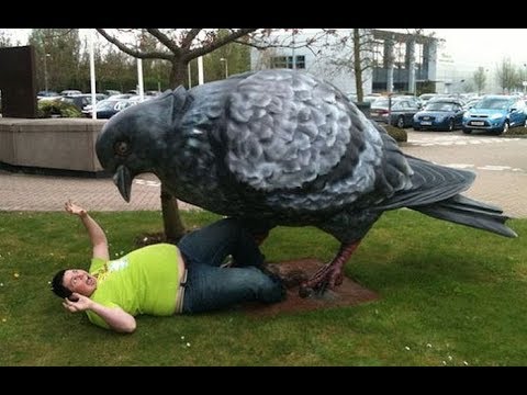 Funny photos with statues, funny pictures, funny, compilation, fails, moments, moment pics, best
