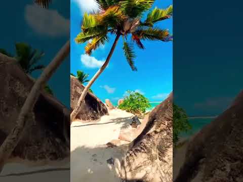 La Digue, Seychelles 📍😍